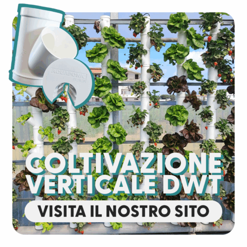 Kit idroponica base: 20 MINIBRAGHE DWT + VIDEO CORSO - Impianti di ...