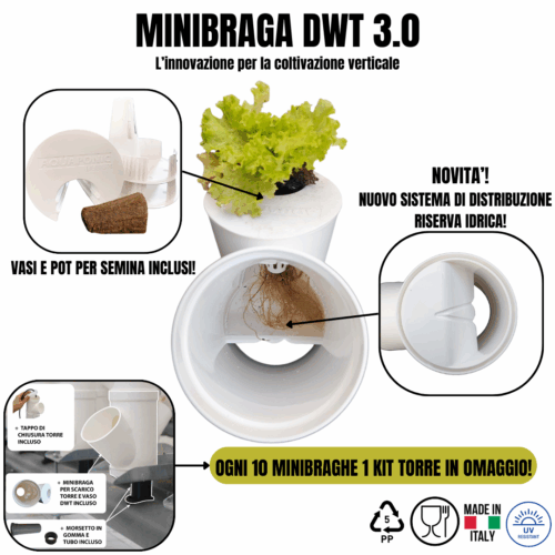 Kit idroponica base: 20 MINIBRAGHE DWT + VIDEO CORSO - Impianti di ...